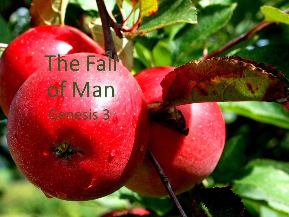 The Fall of Man – Chasing the Wind